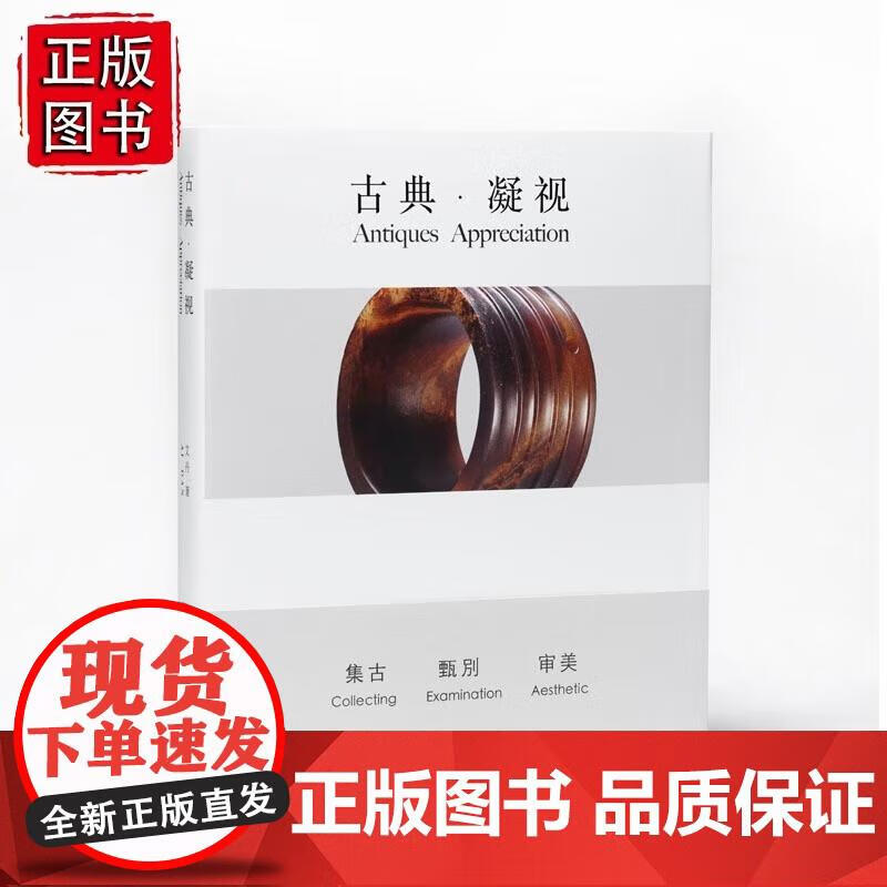 古典·凝视 艾丹 9787515361314 中国青年出版社