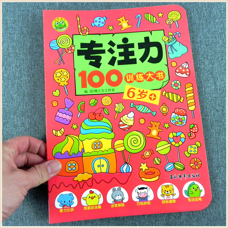 专注力100训练大书2-3-4-5-6岁+ 图画捉迷藏迷宫探险智力开发场景式拼图运笔眼力比拼幼儿园儿童专注思维训练 训练大书6岁+以上