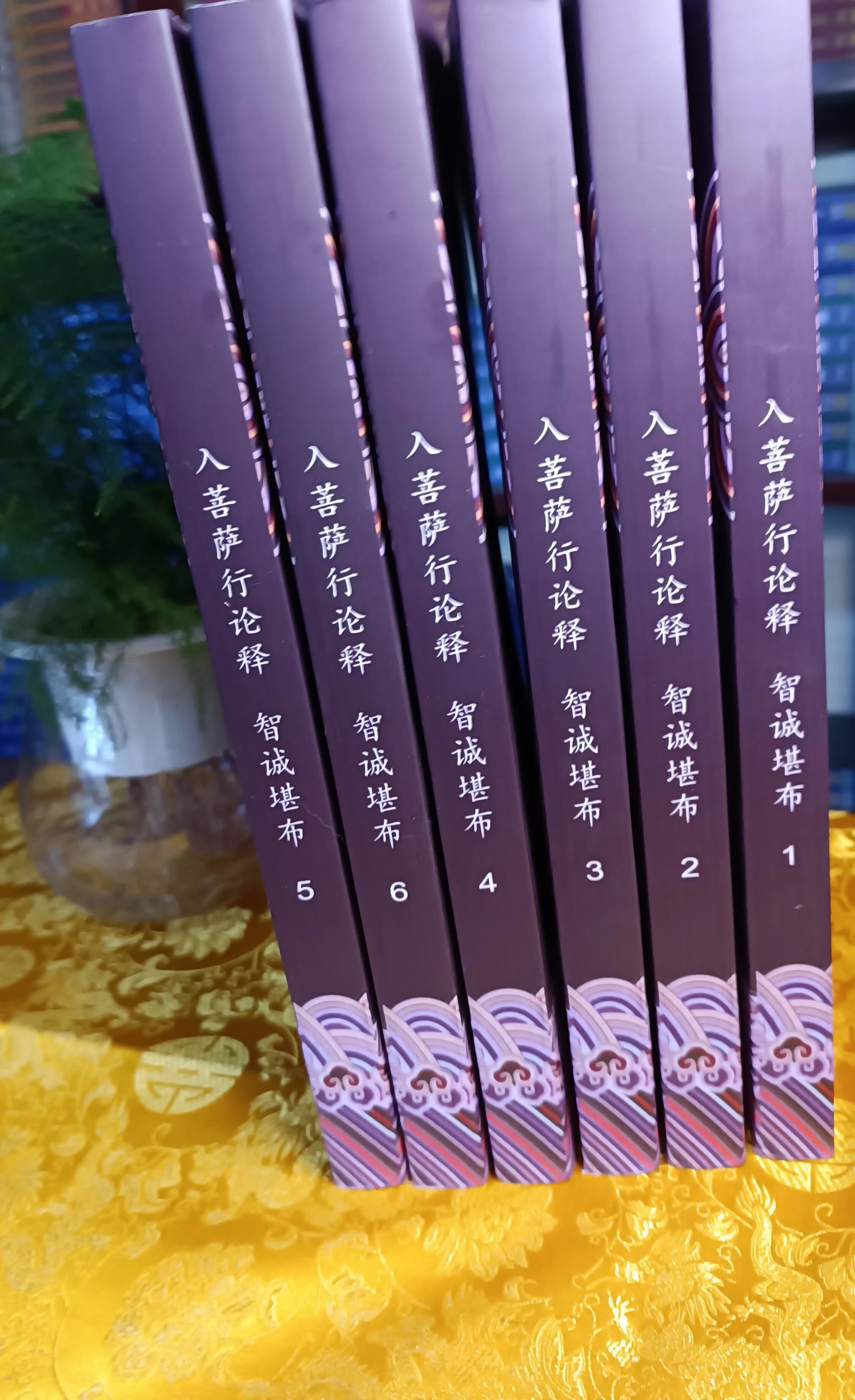 生西法师（智诚堪布）入行论讲义辅导  全套6本 A4纸大小