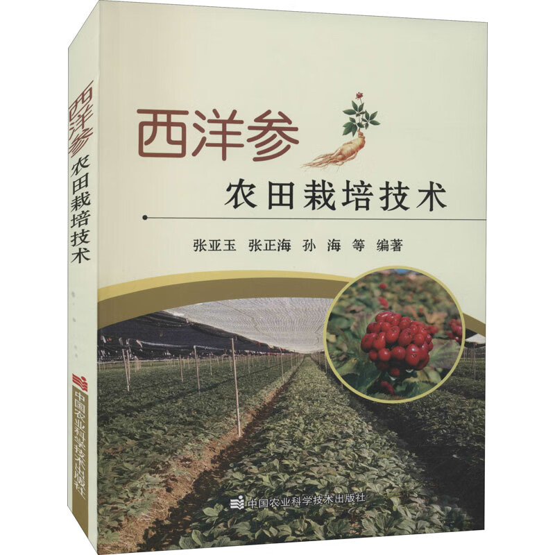 西洋参农田栽培技术