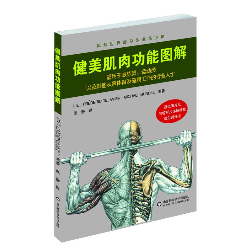 健美肌肉功能图解