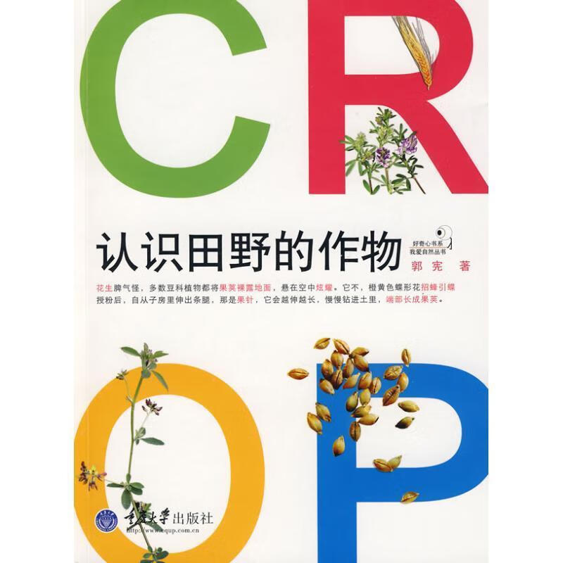 认识田野的作物