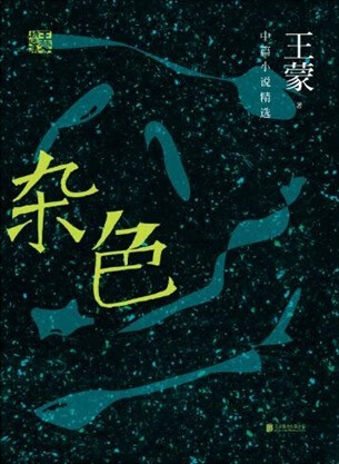 杂色 王蒙【书】