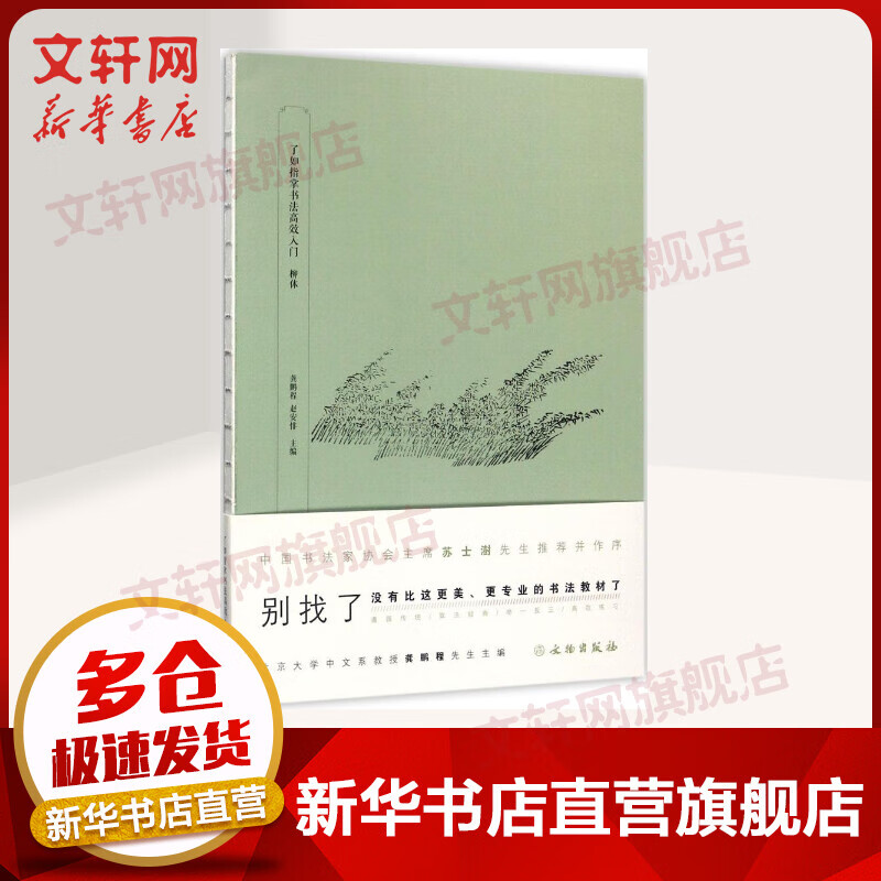 了如指掌书法高效入门柳体