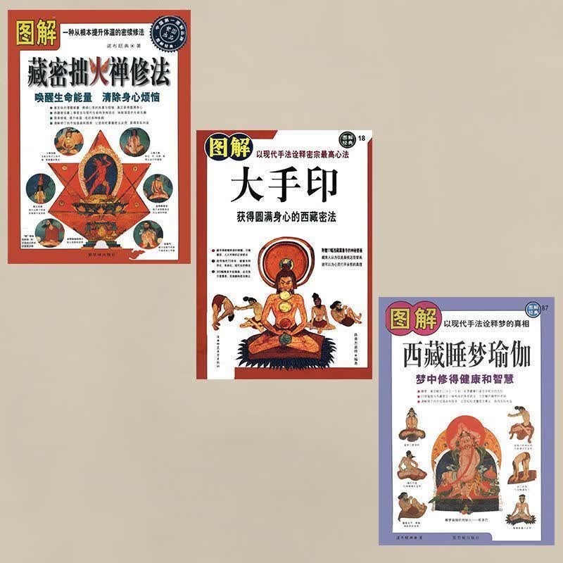 现货图解西藏睡梦+图解大手印+图解藏密拙