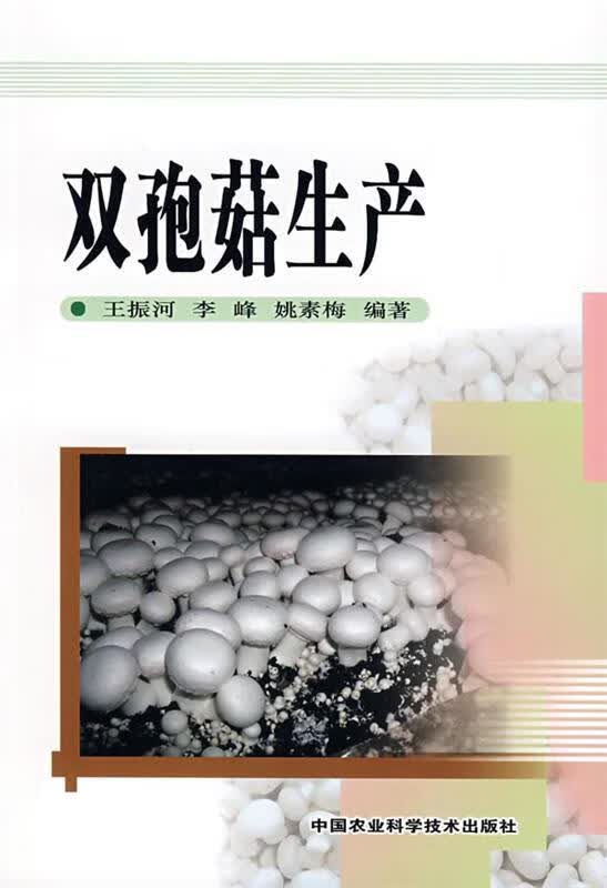 双孢菇生产 王振河