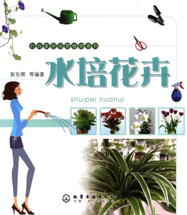 时尚家居观赏植物系列--水培花卉