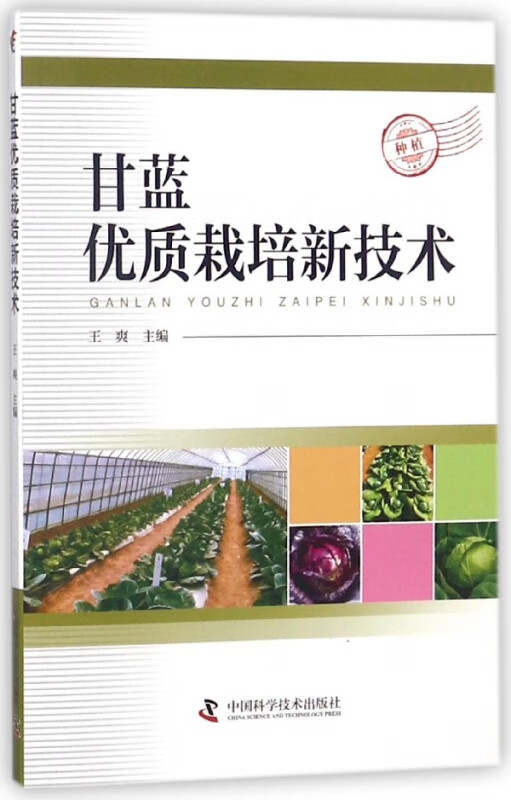 甘蓝优质栽培新技术