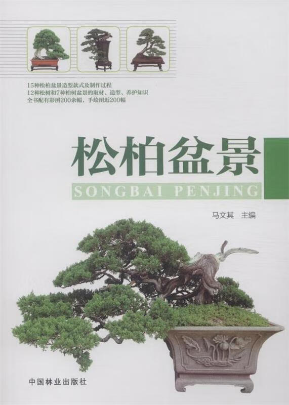 松柏盆景 马文其著 中国林业出版社