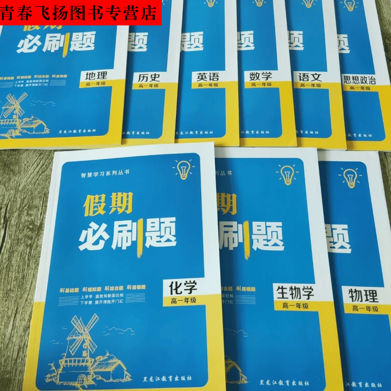 2024智慧学习系列丛书假期必刷题高一 各科自选黑龙江教育出版社 化学