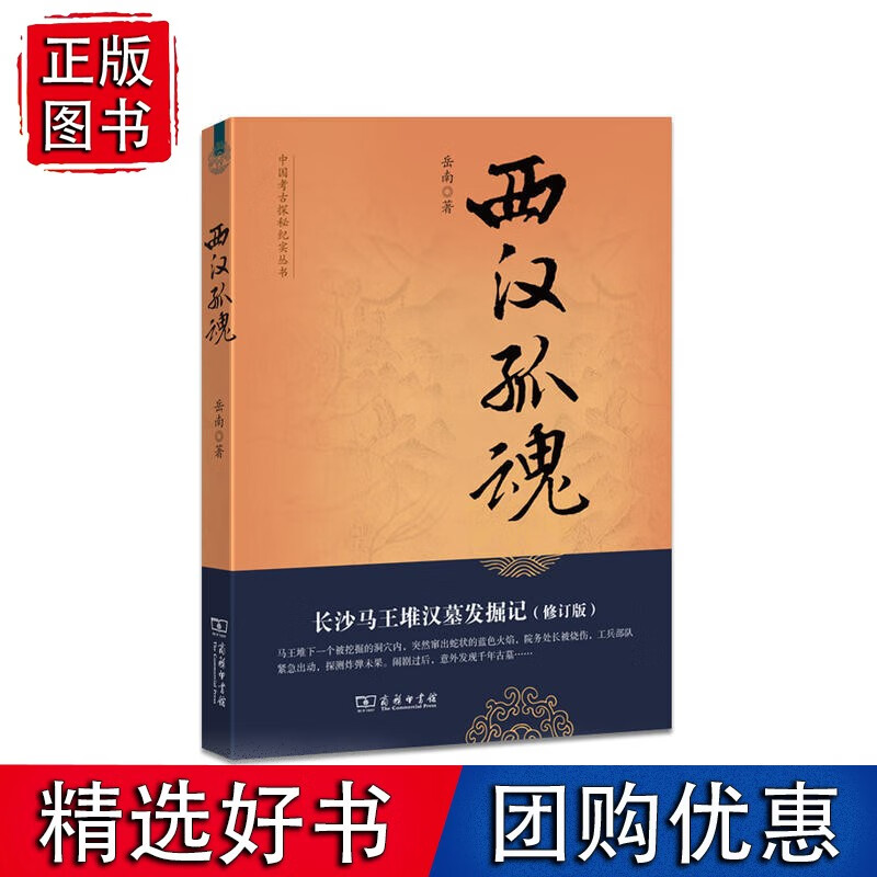 西汉孤魂——长沙马堆汉墓发掘记(修订版)