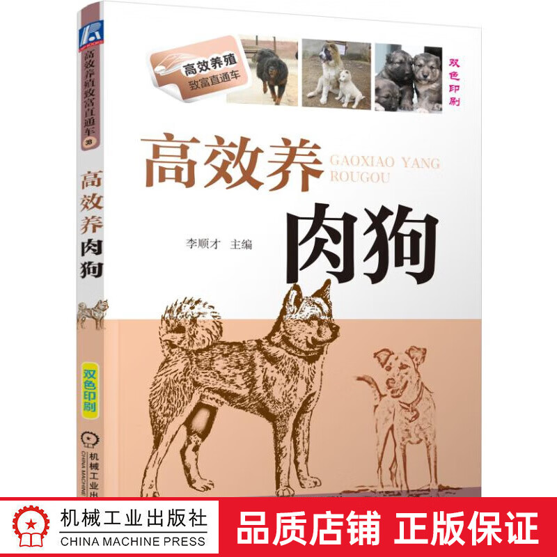 高效养肉狗 零起点学办肉狗养殖场+ 高效养肉狗+肉狗高效养殖技术一本通/农村书屋系列养狗技术大全书籍 肉狗饲养管理与疾病防治