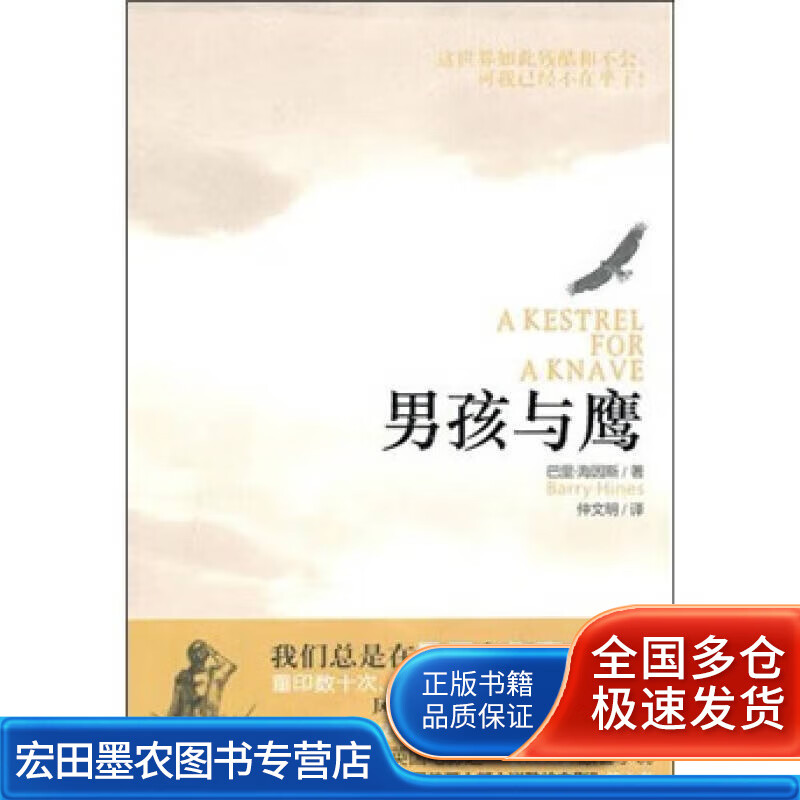男孩与鹰【好书】