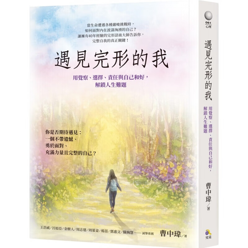 台版 遇见完形的我 用觉察选择责任与自己和好解锁人生难题励志成功