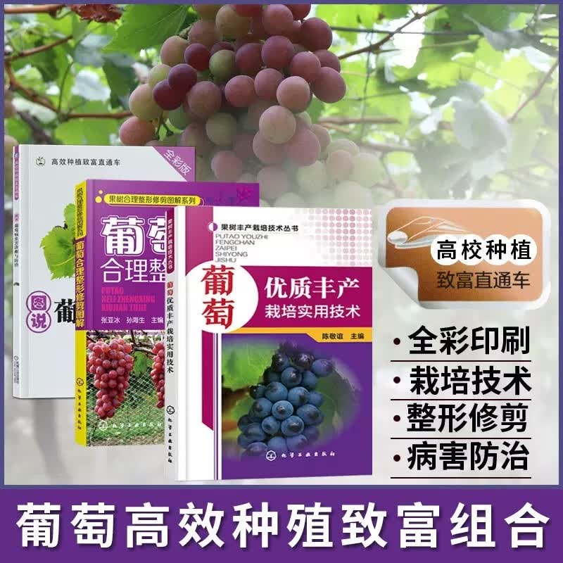 三本套 图说葡萄病虫害诊断与防治+葡萄合理整形修剪图解+葡萄优质丰产栽培实用技术 果园管理果树嫁接技术图解书农业书籍果树修剪书籍种植书籍大全葡萄种植栽培技术书