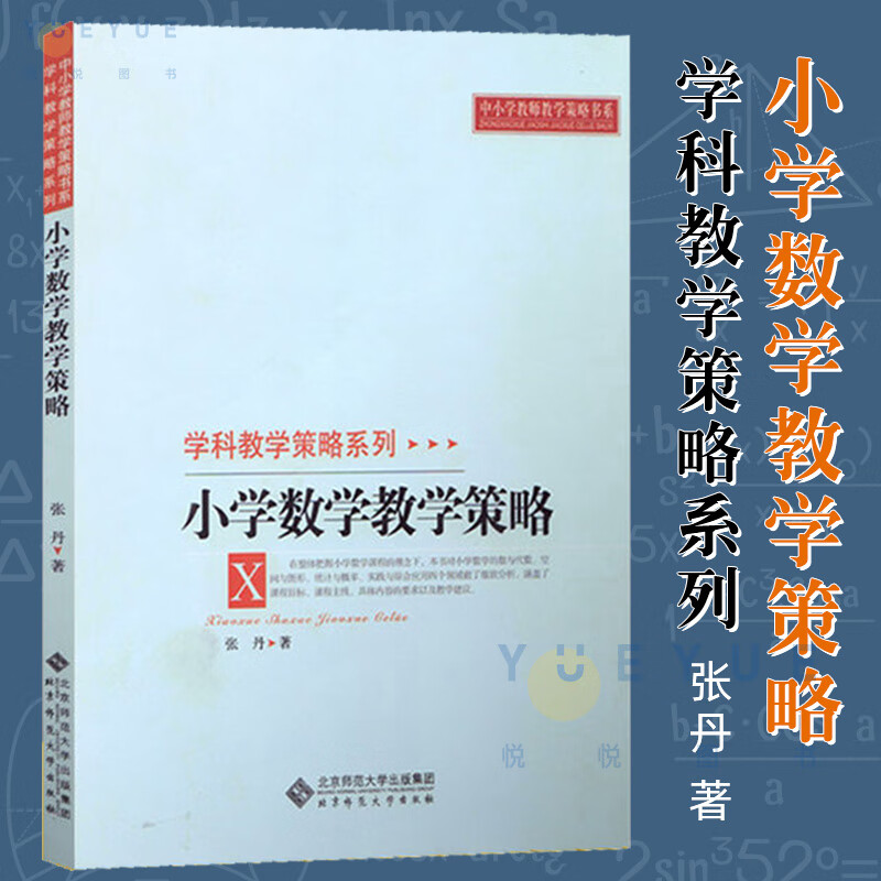 小学数学教学策略 中小学教师教学策略书系·学科教学策略系列 张丹 数学教学策略概述 数与代数 数的运算