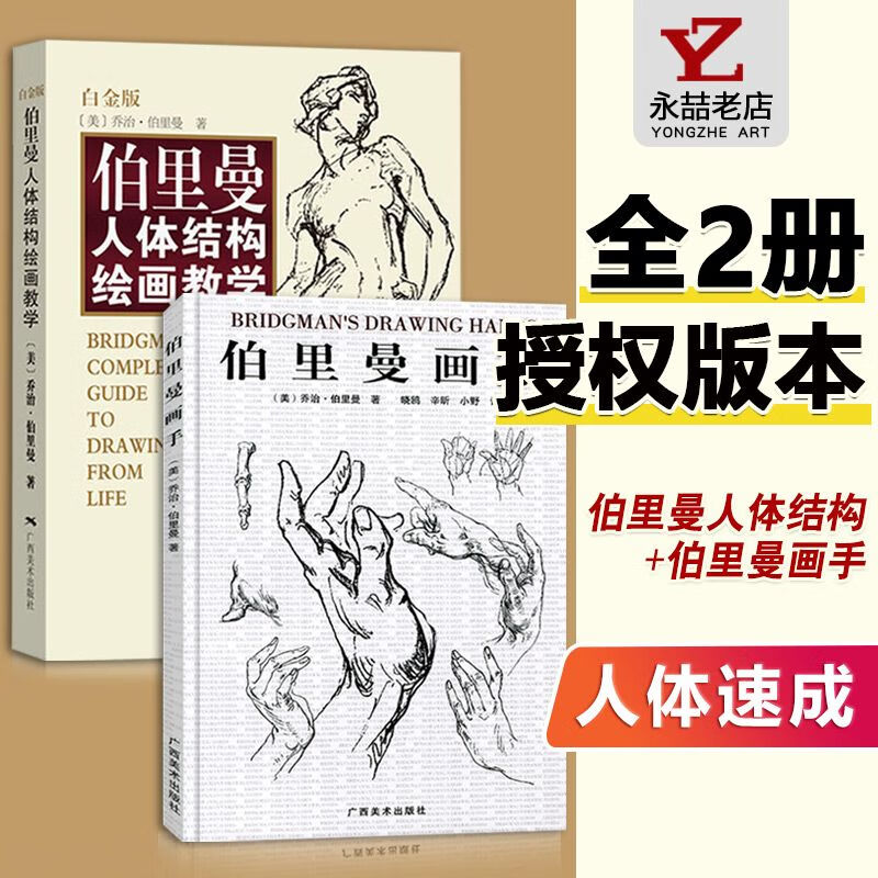 【13年老店】伯里曼人体结构绘画教学素描书入门教材美术书教材伯里曼人体速写书伯里曼速写临摹本人体绘画