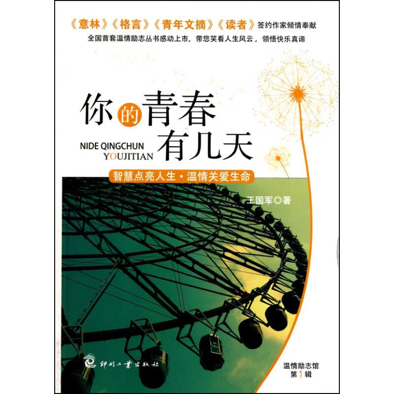 你的青春有几天 王国军【书】