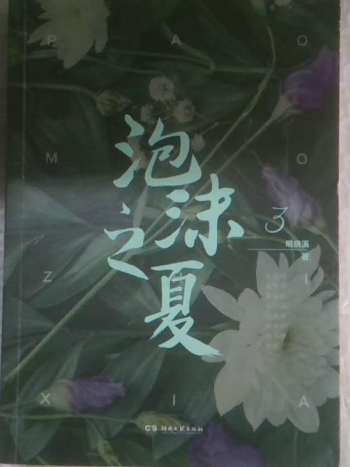 泡沫之夏(3)