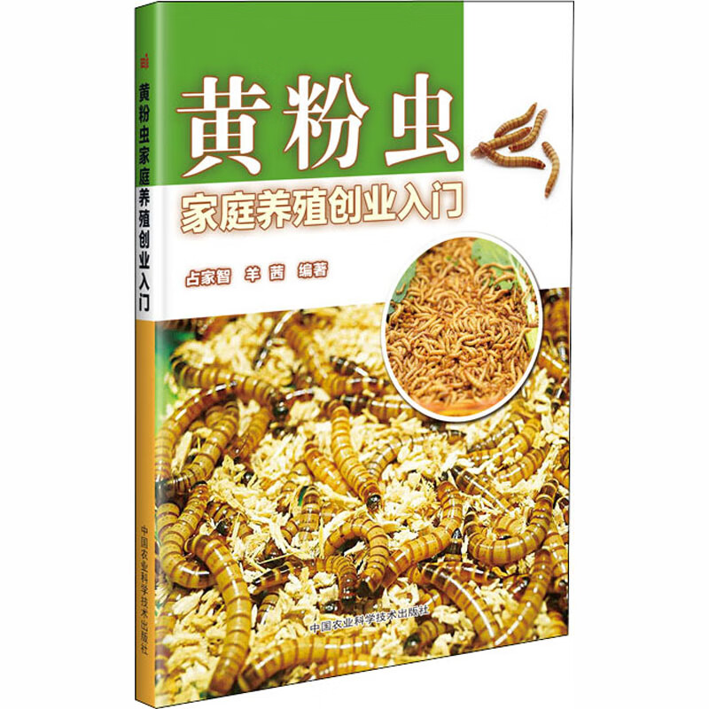 黄粉虫家庭养殖创业入门