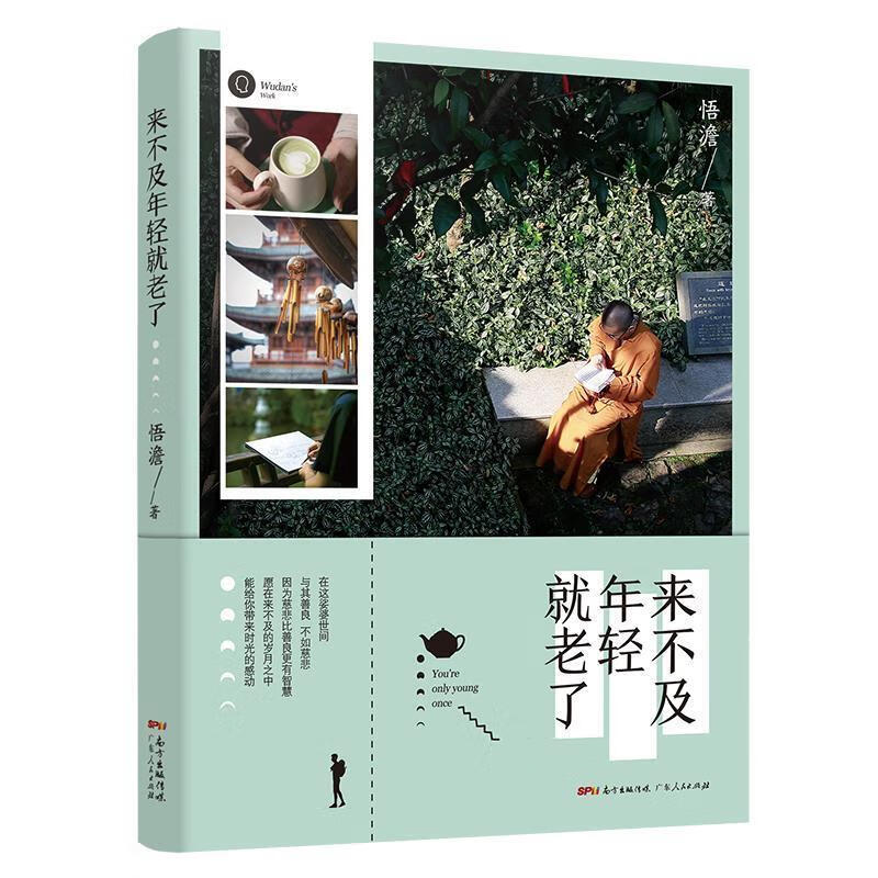 来不及年轻就老了 悟澹 广东人民出版社