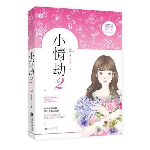 小情劫2