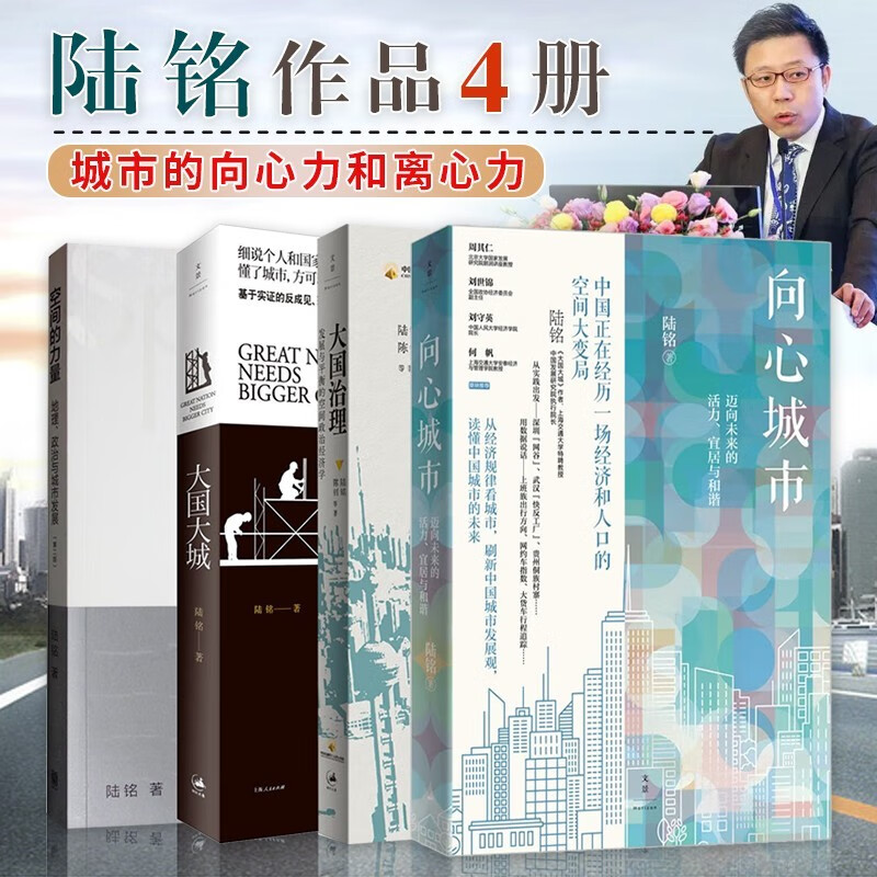 【可选书籍】大国经济 向心城市 置身事内 转型中的地方政府 改变中国 大国大城等 陆铭著作 中国政治经济学书籍 陆铭著作4册