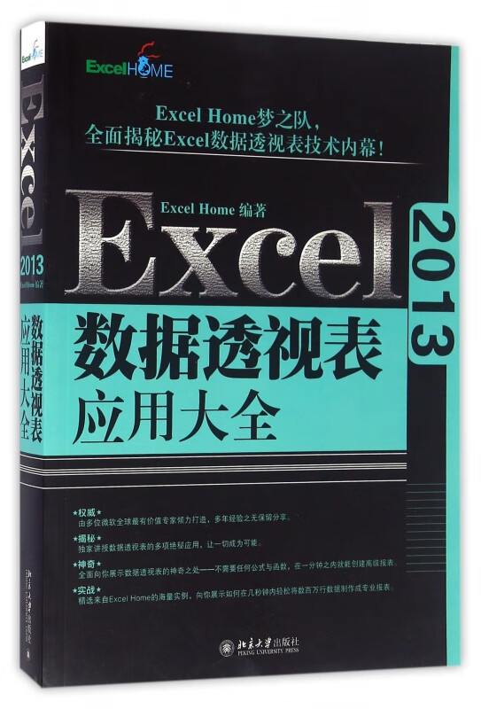 Excel2013数据透视表应用大全