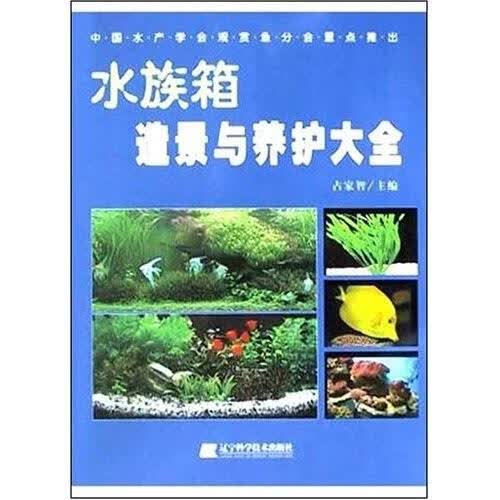 水族箱造景与养护大全 占家智