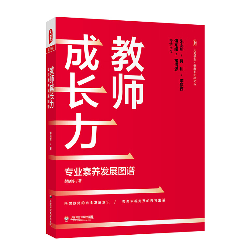 教师成长力：专业素养发展图谱 大夏书系
