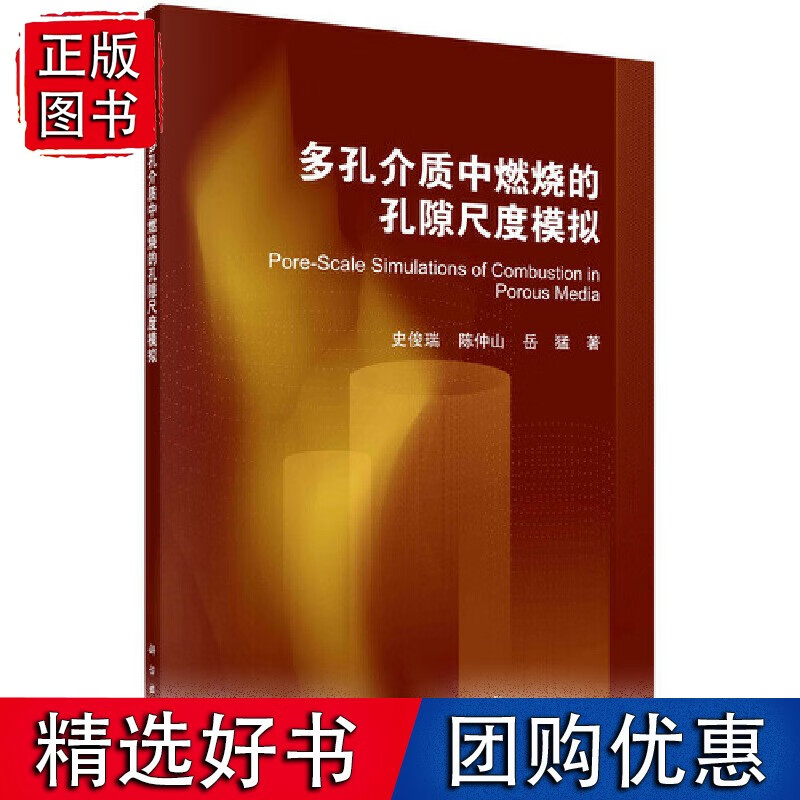 多孔介质中燃烧的孔隙尺度模拟