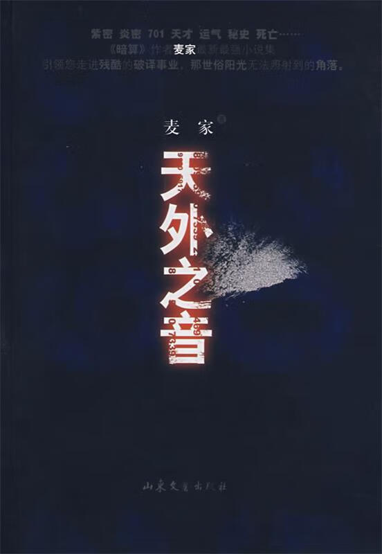 天外之音 麦家 著 山东文艺出版社