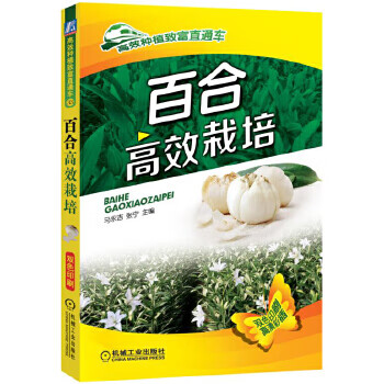 百合高效栽培 机械工业出版社 9787111549970