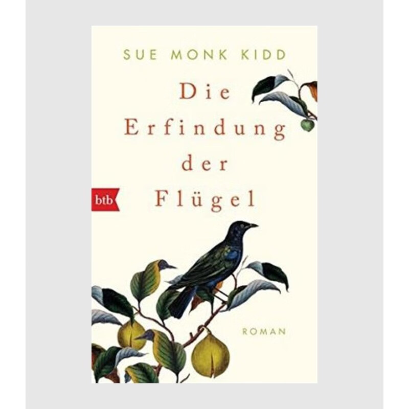 Die Erfindung der Flugel