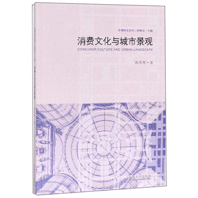 现货消费文化与城市景观/景观研究丛书