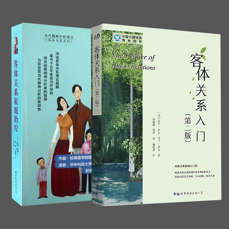 客体关系入门 第2版+客体关系家庭治疗【全2册】客体关系入门书 当代精神分析理论 中国心理学会推荐