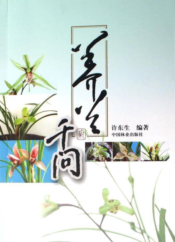 养兰千问 许东生 家居 9787503845932