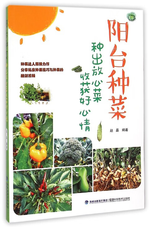 阳台种菜(种出放心菜收获好心情)