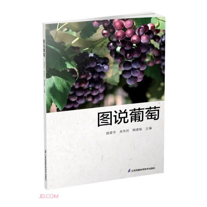 图说葡萄