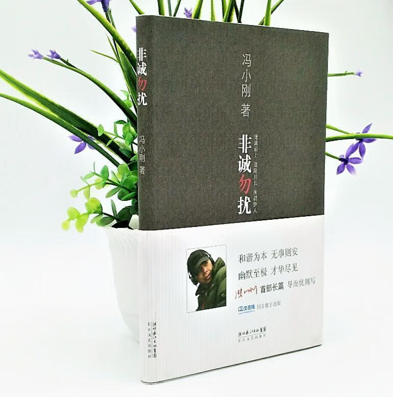 非诚勿扰 冯小刚 著【书】