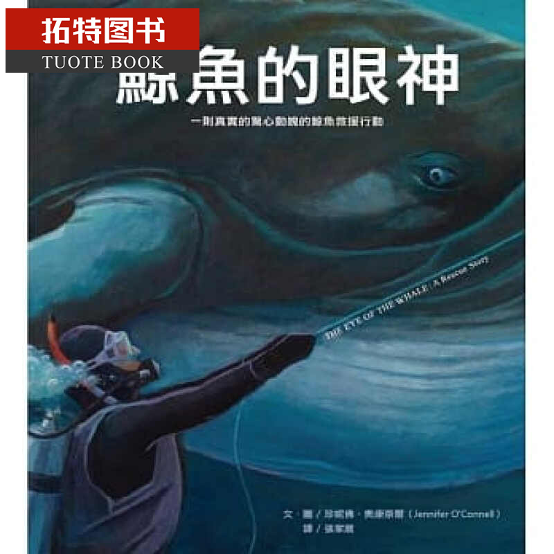 预售 鲸鱼的眼神 大颖文化