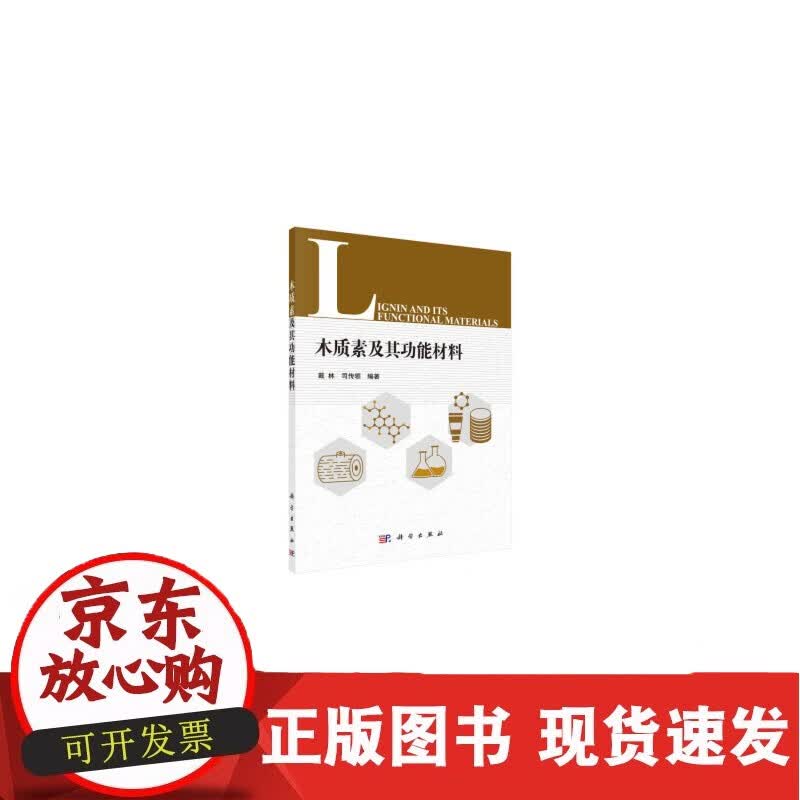 C 木质素及其功能材料C