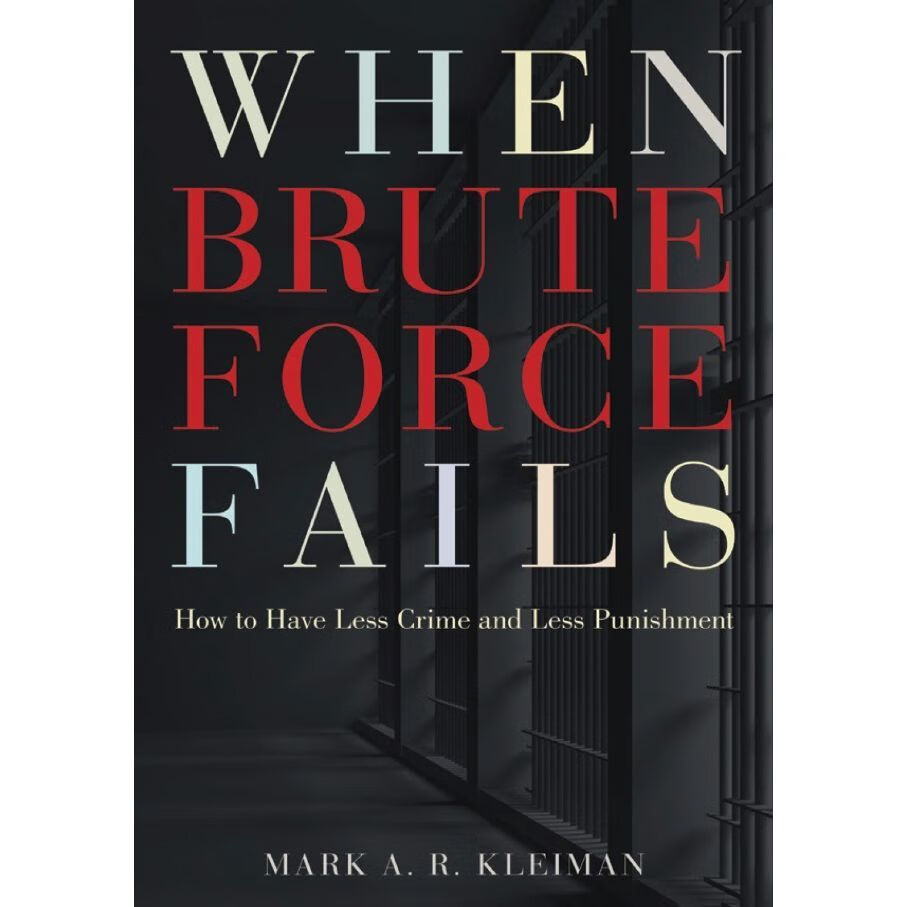 When Brute Force Fails 英文纸质书 通用