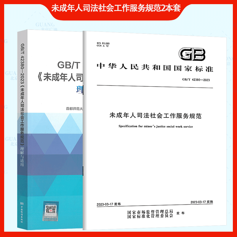 2本套标准+理解与适用 GB/T 42380-2023 未成年人司法社会工作服务规范释义