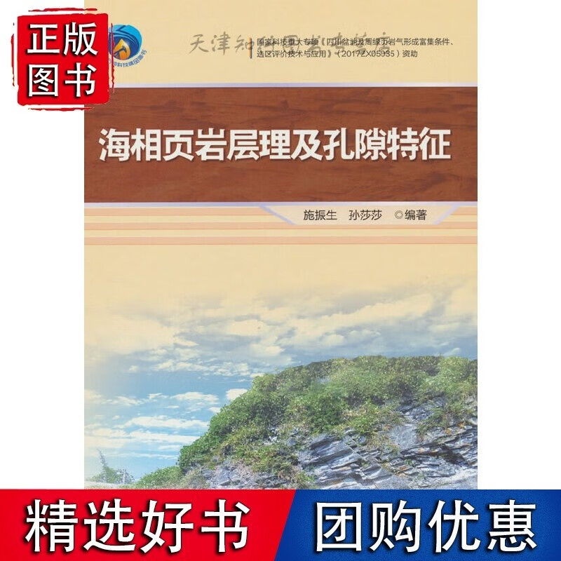 海相页岩层理及孔隙特征