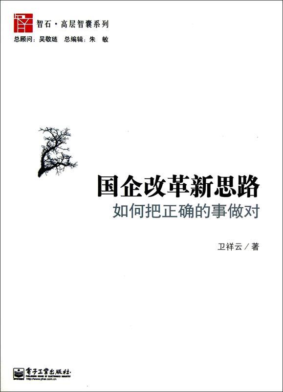 国企改革新思路 卫祥云
