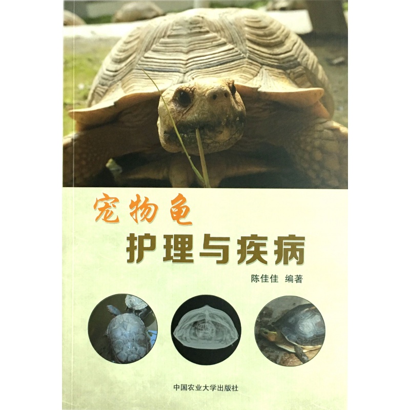 宠物龟护理与疾病 陈佳佳 编著 宠物龟护理 宠物龟疾病防治 龟病防治诊治