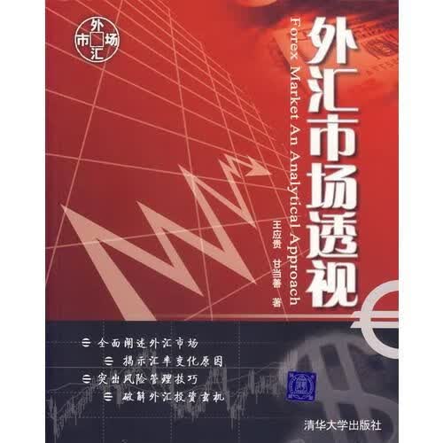 外汇市场透视9787302139355