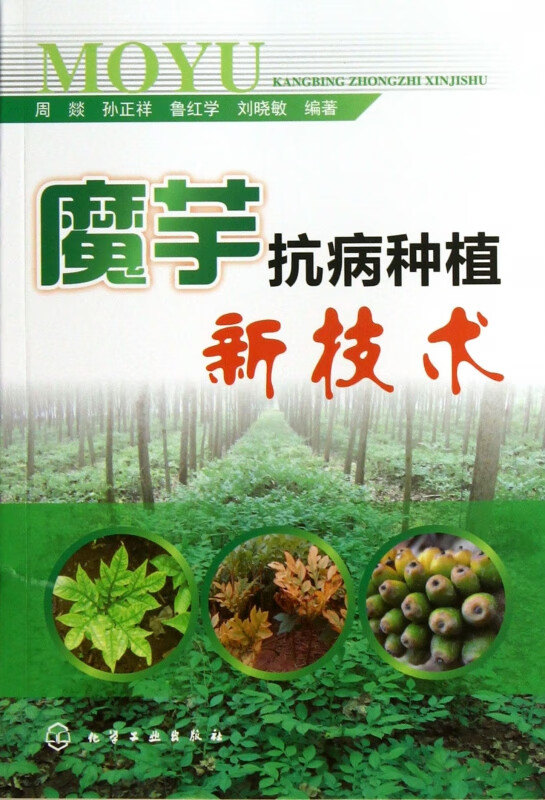 魔芋抗病种植新技术