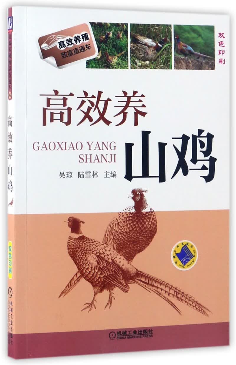 高效养山鸡(双色印刷)/高效养殖致富直通车